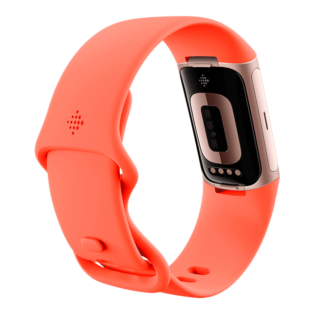Buy fitbit Charge 6 Fitness Tracker with Stress Management (1.03 Inch ...