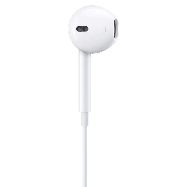 Buy Apple Wired Earpod with Mic (USB Type-C, In Ear, White) Online - Croma
