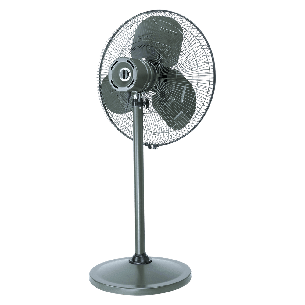 Buy Croma 500mm 3 Blade Silent Operation Pedestal Fan (Adjustable ...