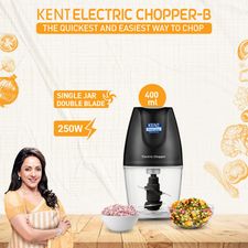 Buy KENT 250 Watt Vegetable Chopper with 2 Blades (Black) Online - Croma